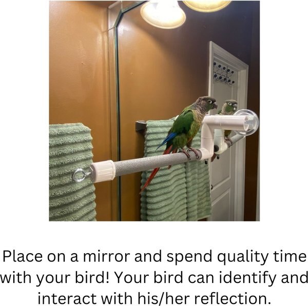 POLLY'S PET PRODUCTS Deluxe Window & Shower Bird Perch, Small - Chewy.com