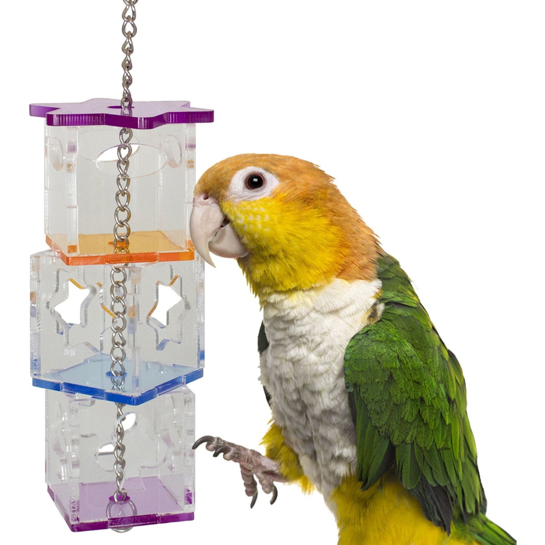 SUPER BIRD CREATIONS Cubes Conure Foraging Toy - Chewy.com