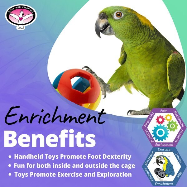 SUPER BIRD CREATIONS Birdie Ball Exercise Bird Toy, X-Large - Chewy.com