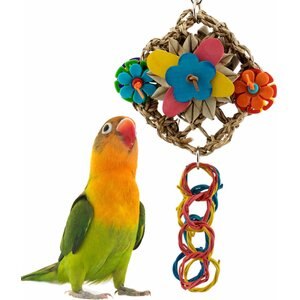 Out of Stock - SUPER BIRD CREATIONS Palm Puff Preening Bird Toy - Chewy.com