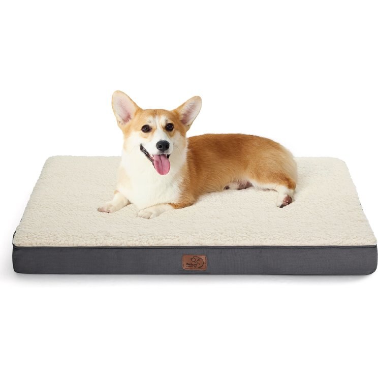 Vinyl Covered Dog Beds (Free Shipping) | Chewy