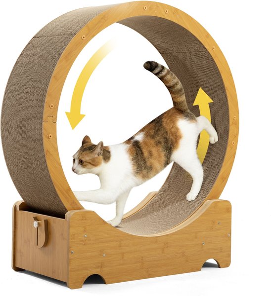 COZIWOW Indoor Burly Wood Cat Exercise Wheel Toy, Brown - Chewy.com