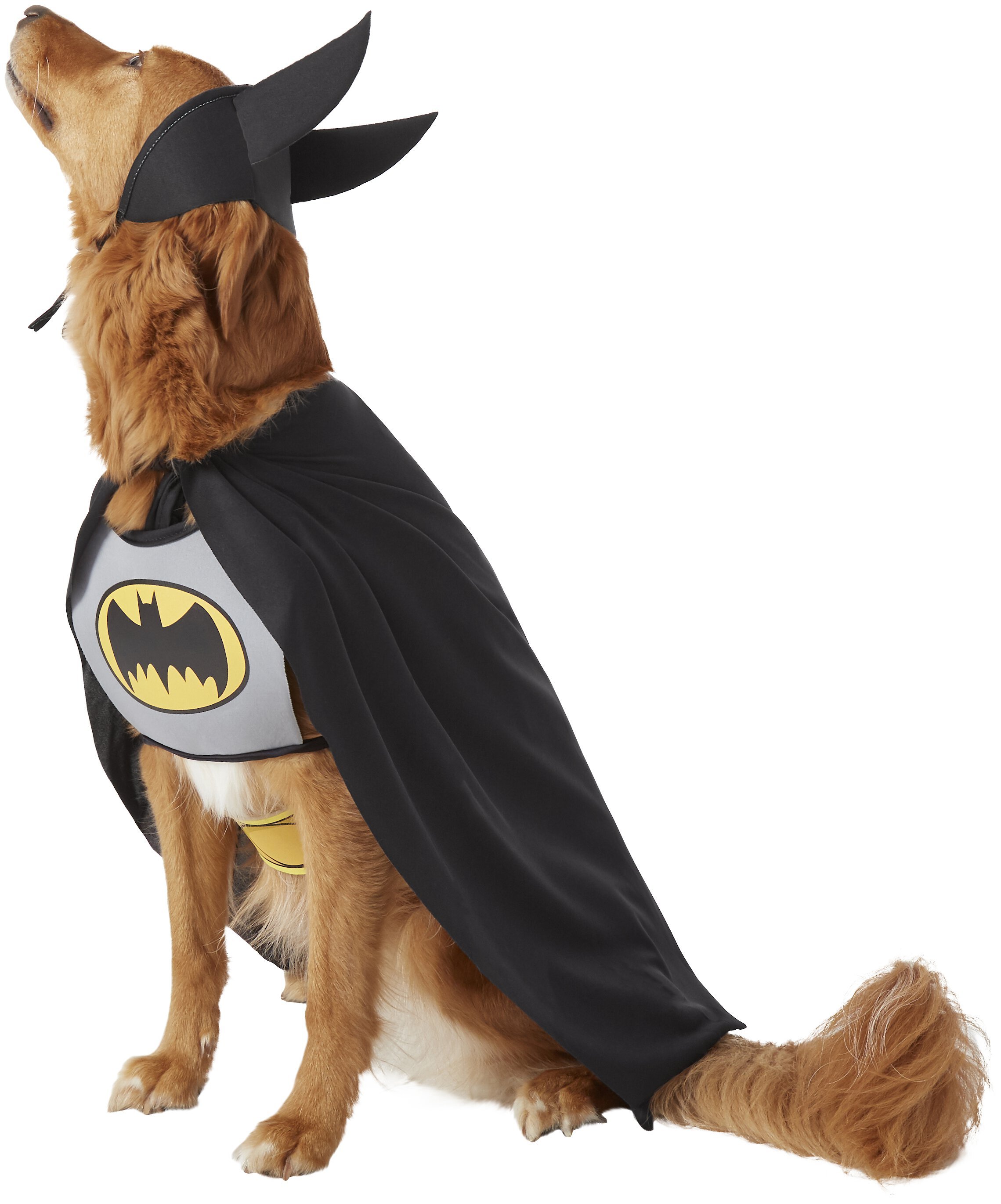 Questions and Answers about RUBIE'S COSTUME COMPANY Classic Batman Dog ...