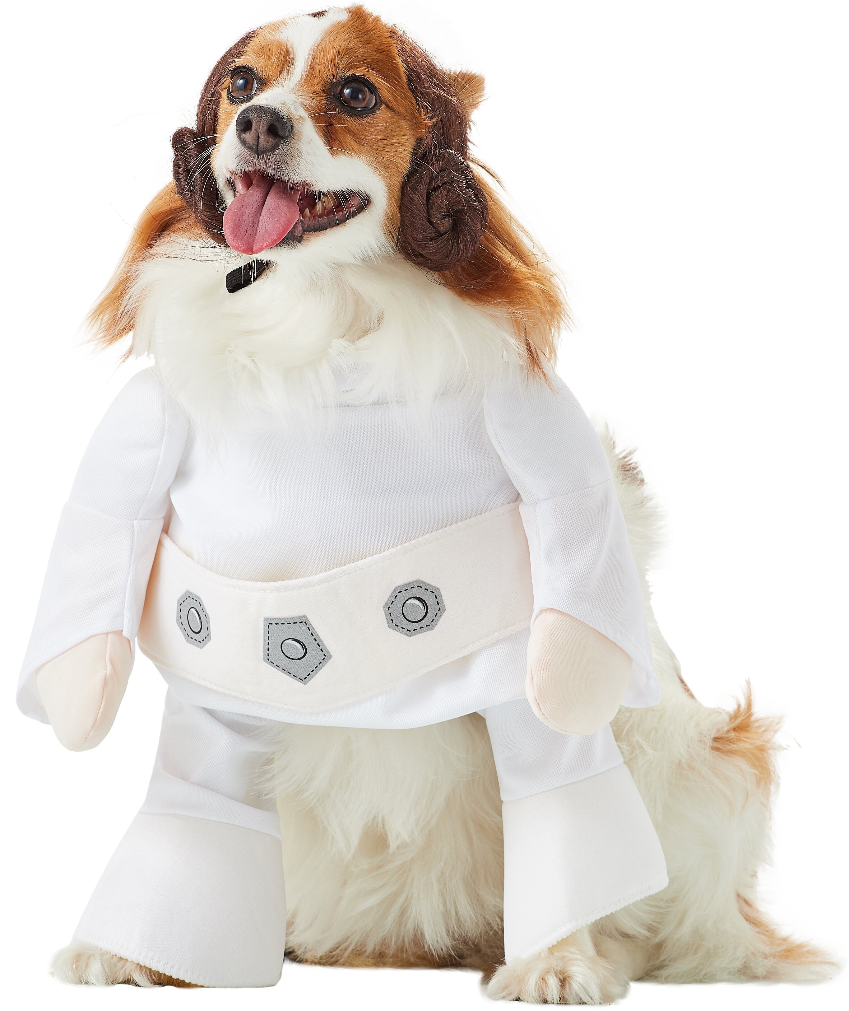 Questions and Answers about RUBIE'S COSTUME COMPANY Princess Leia Dog ...