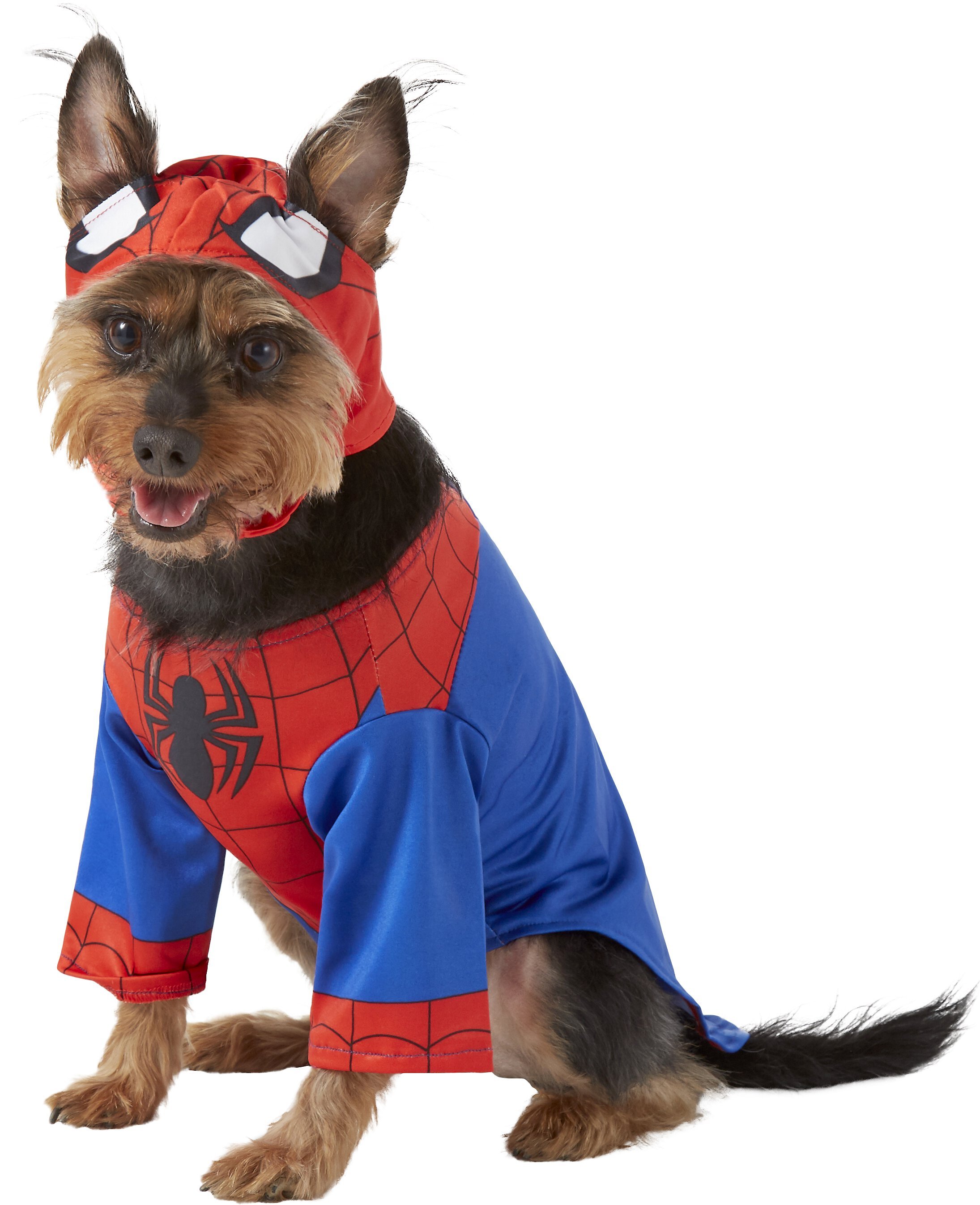 Questions and Answers about RUBIE'S COSTUME COMPANY Spider Man Dog ...