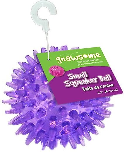 GNAWSOME Squeaker Ball Dog Toy, Color Varies, Small - Chewy.com