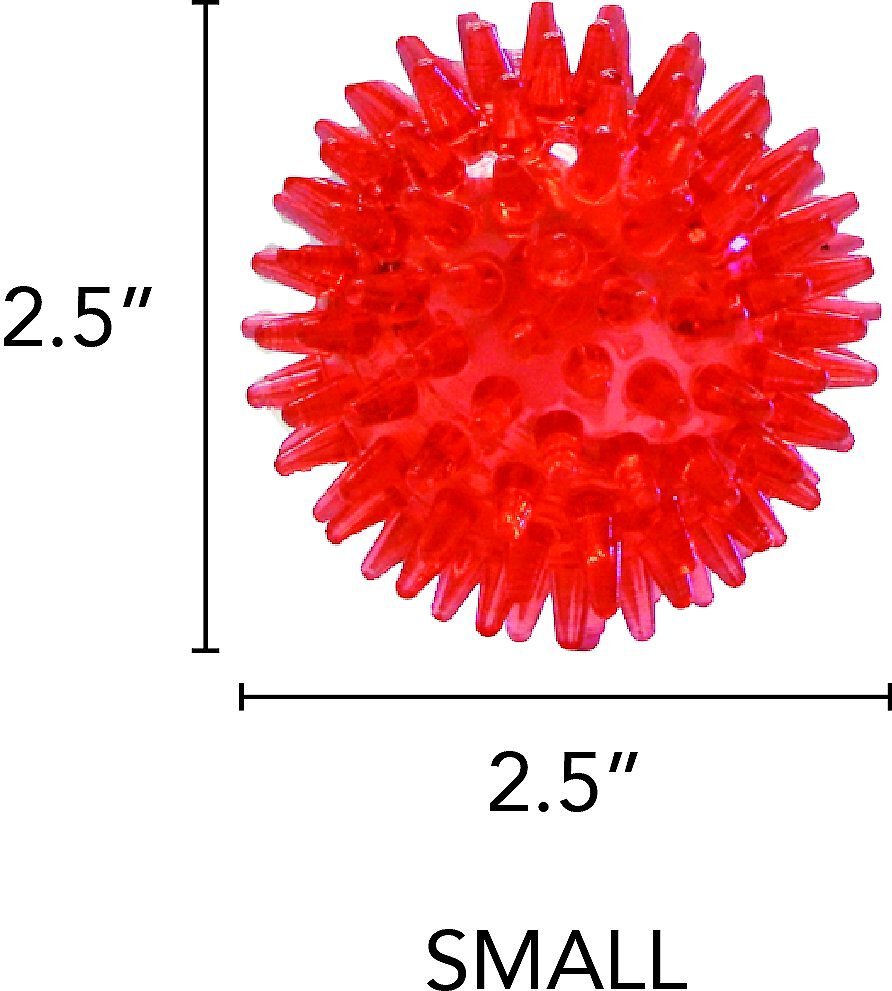 GNAWSOME Squeaker Ball Dog Toy, Color Varies, Small - Chewy.com