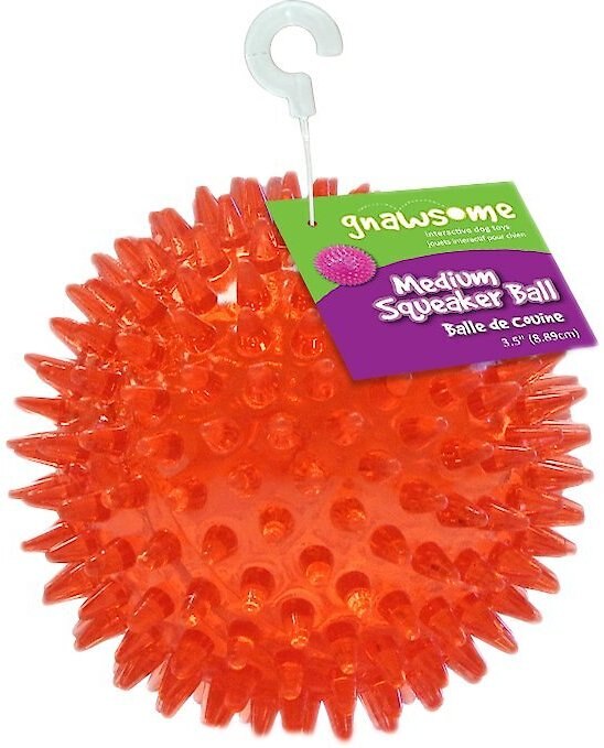 GNAWSOME Squeaker Ball Dog Toy, Color Varies, Medium - Chewy.com
