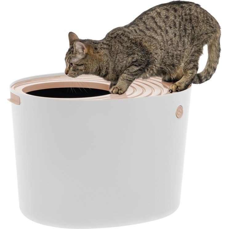 Covered Cat Litter Boxes: Enclosed Kitty Litter Boxes (Free Shipping ...