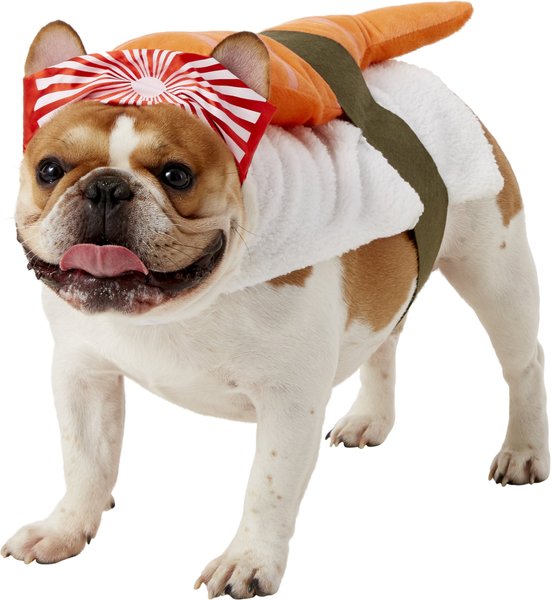 RUBIE'S COSTUME COMPANY Sushi Dog & Cat Costume, Large - Chewy.com