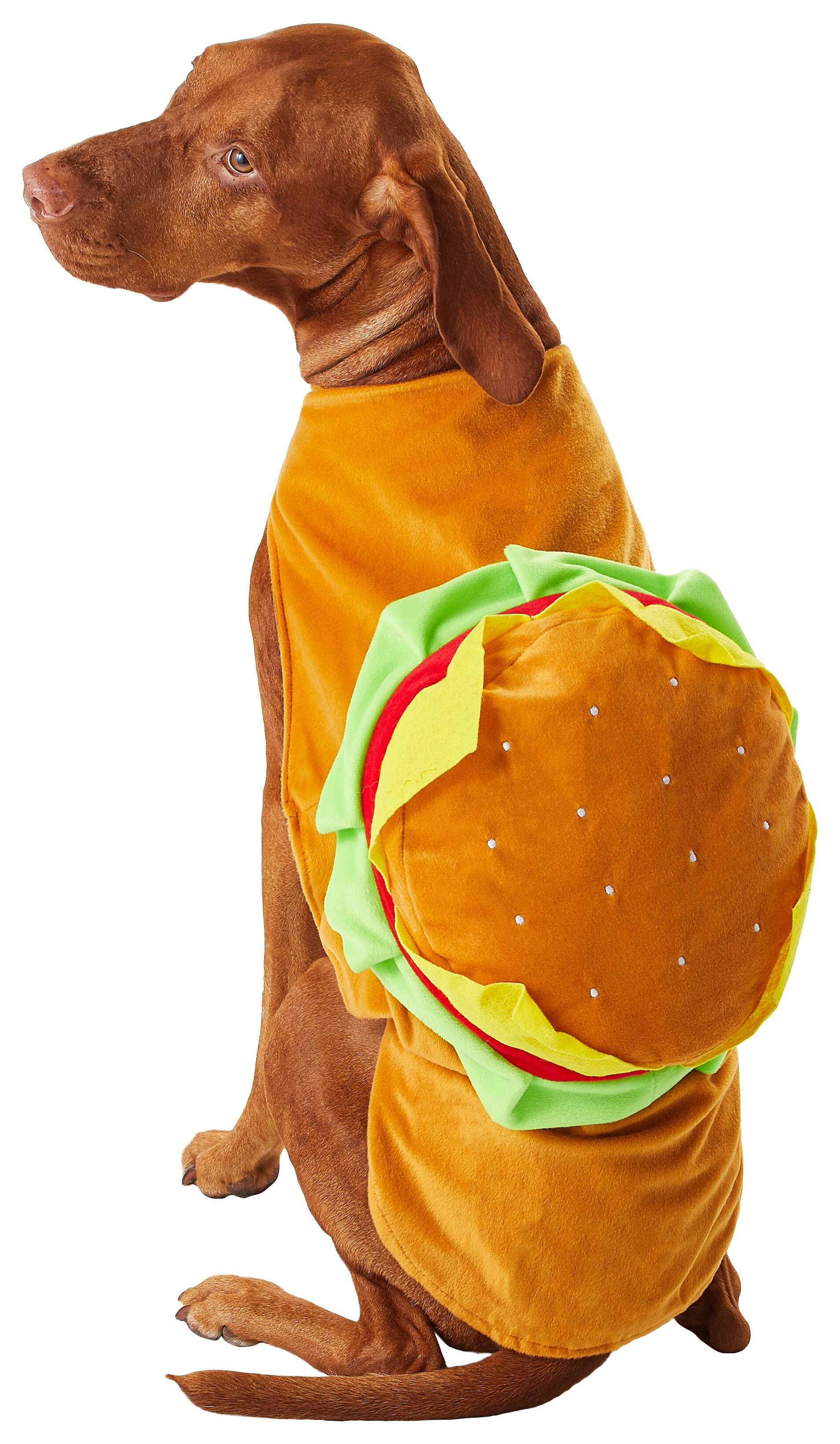 Questions and Answers about RUBIE'S COSTUME COMPANY Cheeseburger Dog ...