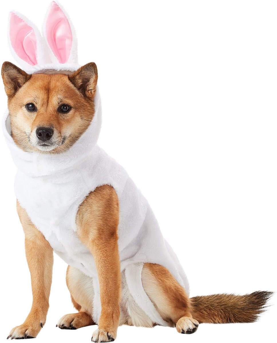 RUBIE'S COSTUME COMPANY Bunny Dog & Cat Costume, Medium - Chewy.com