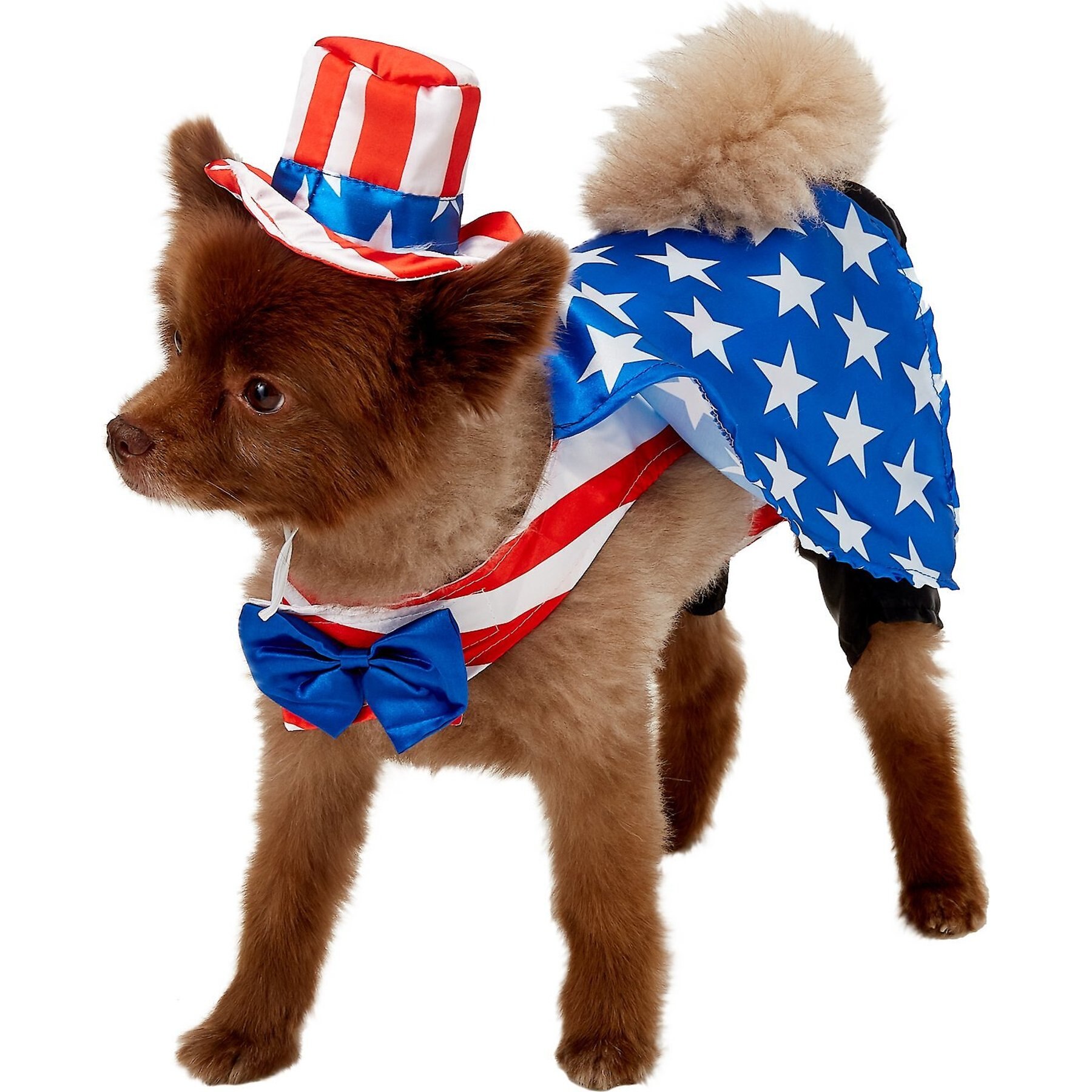 RUBIE'S COSTUME COMPANY Uncle Sam Dog Costume, Medium - Chewy.com