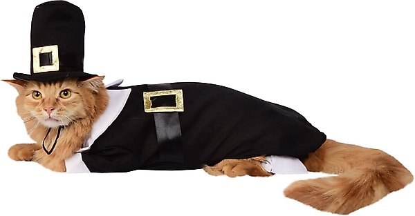 Discontinued - RUBIE'S COSTUME COMPANY Pilgrim Dog & Cat Costume ... Discontinued - RUBIE'S COSTUME COMPANY Pilgrim Dog & Cat Costume ...