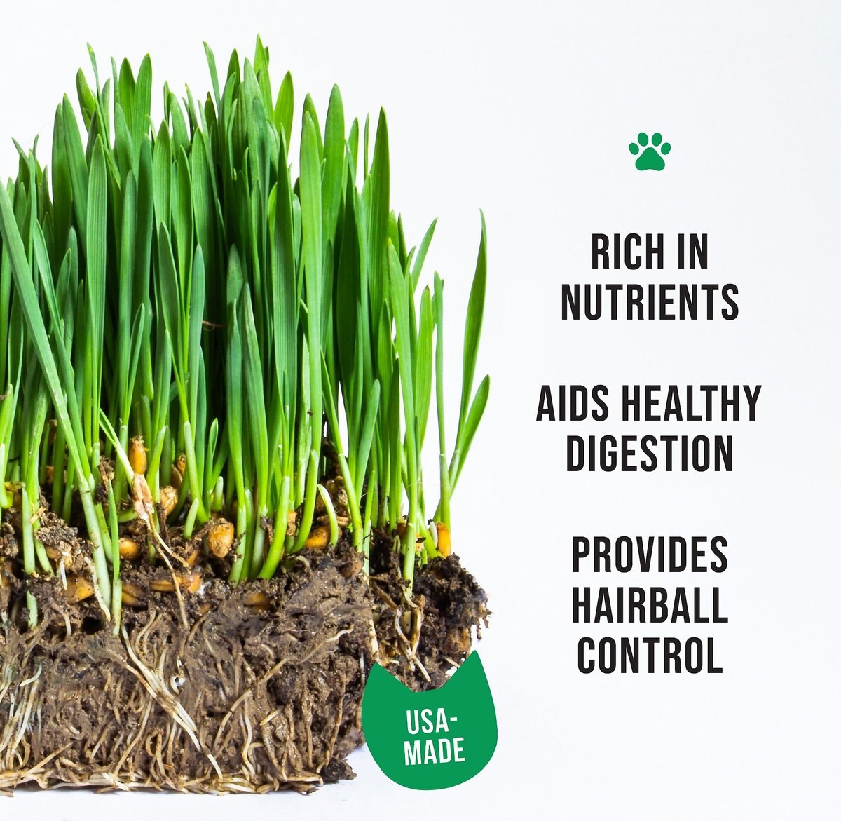THE CAT LADIES Organic Pet Grass Grow Kit with Planter, Black - Chewy.com