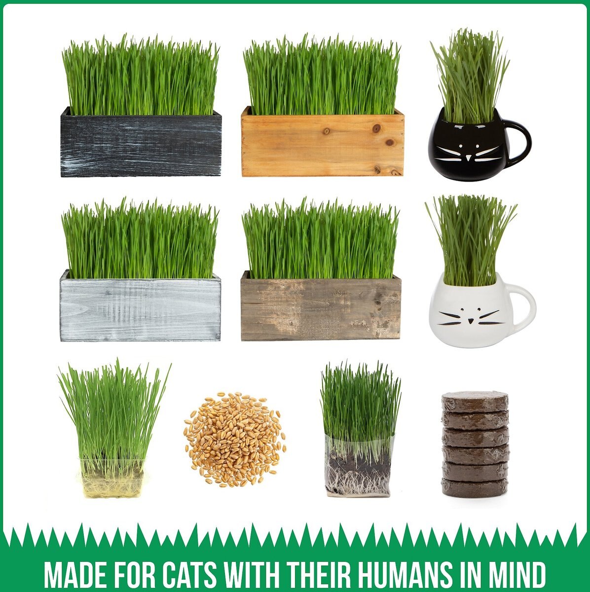 THE CAT LADIES Organic Pet Grass Grow Kit with Planter, Black - Chewy.com