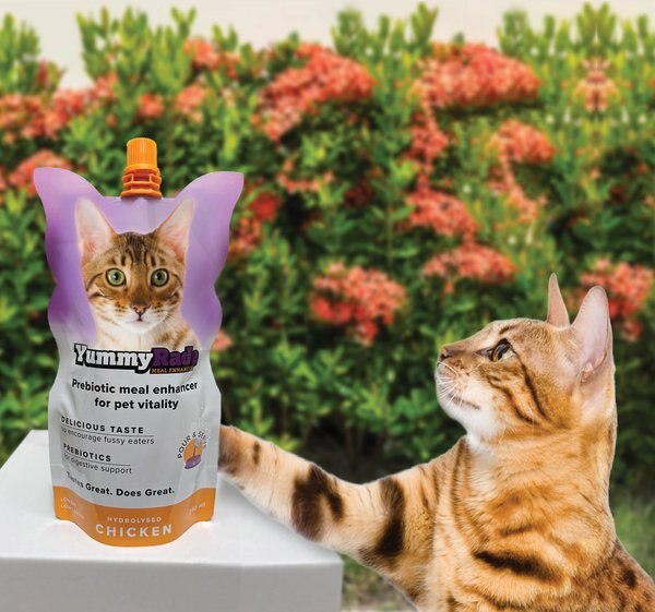 DOGGYRADE YummyRade Meal Enhancer Cat Food Topping, 8.4-fl oz pouch ...