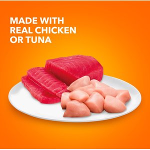 10 Best Pate Cat Foods 2024: According to Reviews | Chewy