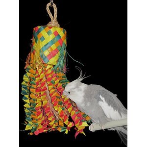 10 Best Conure Toys 2024: According to Reviews | Chewy