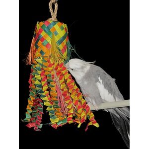 10 Best Conure Toys 2024: According to Reviews | Chewy