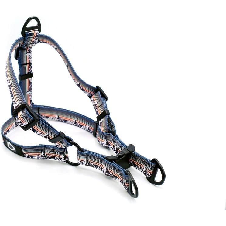 Back Clip Dog Harnesses - Page 6 (Free Shipping) | Chewy