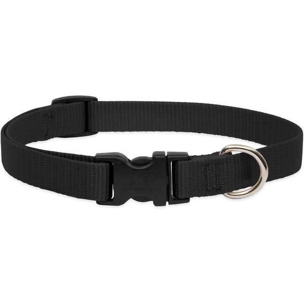 Out of Stock - LUPINEPET Standard Dog Collar, Puppy Love, Medium: 9 to ...