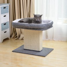 Small Cat Trees & Condos: 30" Tall & Below (Free Shipping) | Chewy