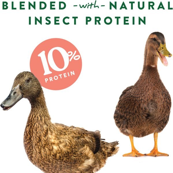 MANNA PRO Duck Discs Waterfowl Duck Treats, 16-oz bag - Chewy.com