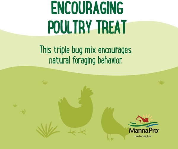 MANNA PRO Farmhouse Favorites Triple Bug Mix Chicken Treats, 2-lb bag ...
