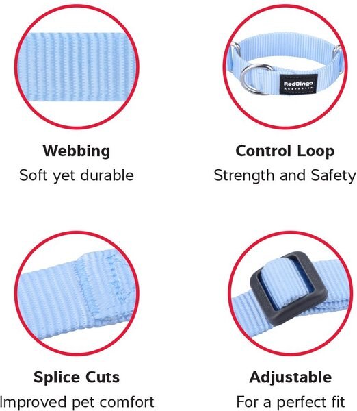 RED DINGO Classic Pastel Nylon Martingale Dog Collar, Blue, X-Small: 8. ...