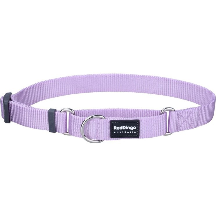 XS MARTINGALE DOG COLLARS (Free Shipping) | Chewy
