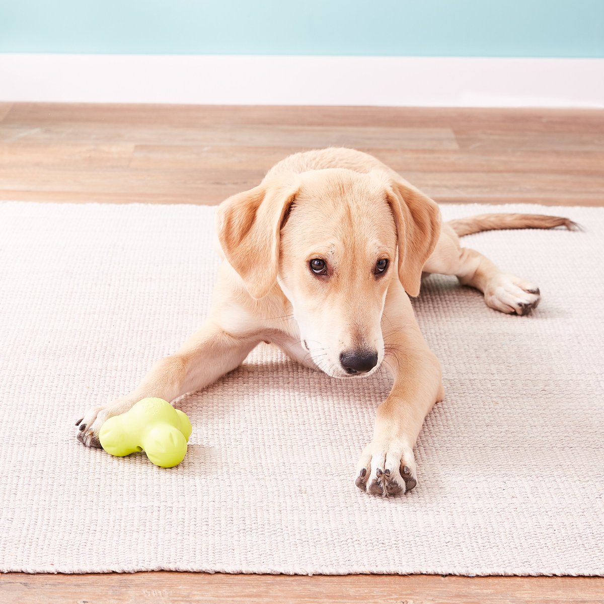 WEST PAW Zogoflex Small Tux Tough Treat Dispensing Dog Chew Toy, Granny ...