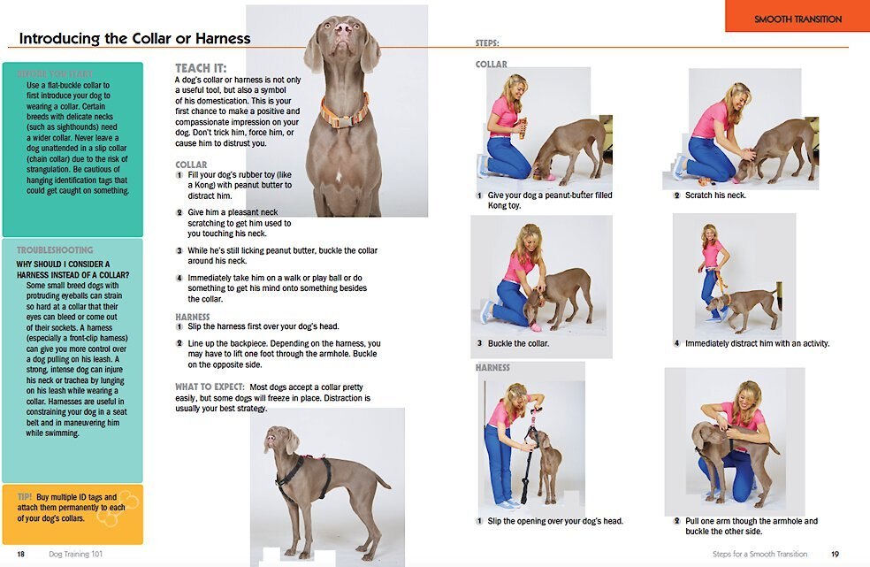 Dog Training 101: Step-by-Step Instructions for Raising a Happy, Well ...