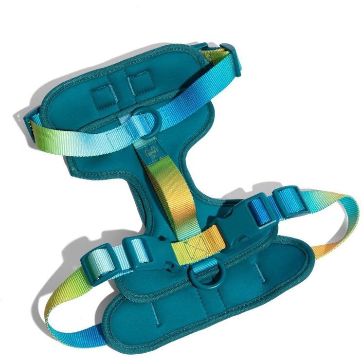 Back Clip Dog Harnesses - Page 2 (Free Shipping) | Chewy