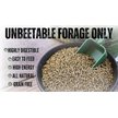 UNBEETABLE FEEDS Forage Only Horse Feed, 50-lb bag - Chewy.com