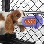 Discontinued - DIGGS Groov Dog Crate Training Tool, Turquoise - Chewy.com