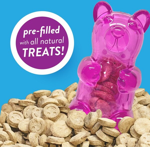 SPUNKY PUP Spunky Bear Treat Dispensing Dog Toy, Large - Chewy.com