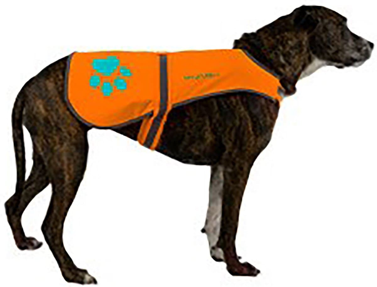 SAFETYPUP XD Reflective Dog Vest, Orange, Large - Chewy.com