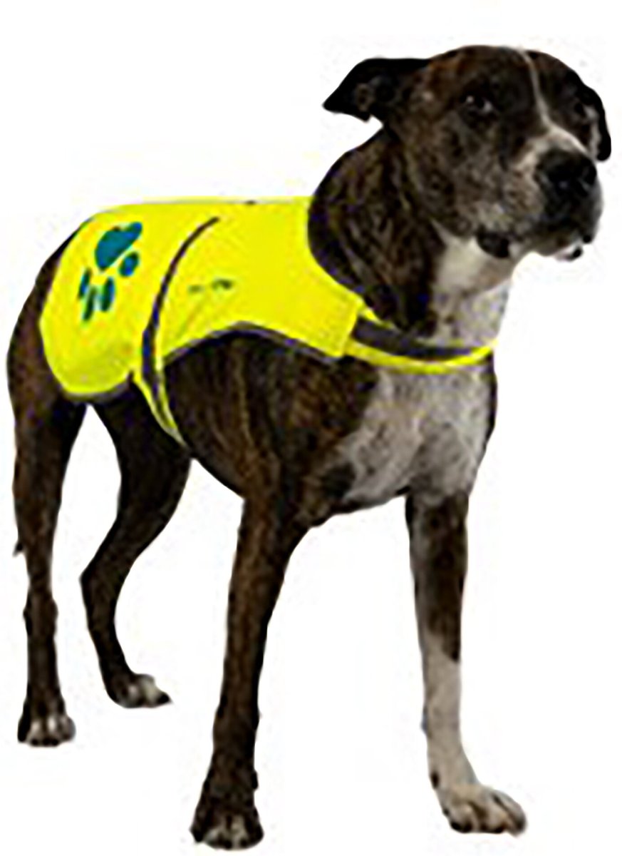 SAFETYPUP XD Urban Reflective Dog Vest, Yellow, X-Small - Chewy.com