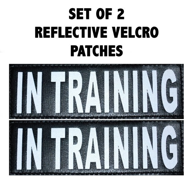 INDUSTRIAL PUPPY Therapy Dog In Training Harness Dog Patch, 2 count ...
