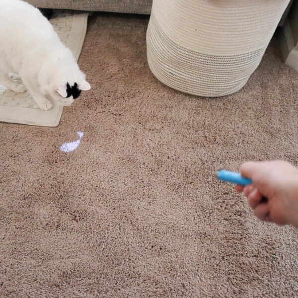 TURBO Fish Projection LED Pointer Cat Toy - Chewy.com