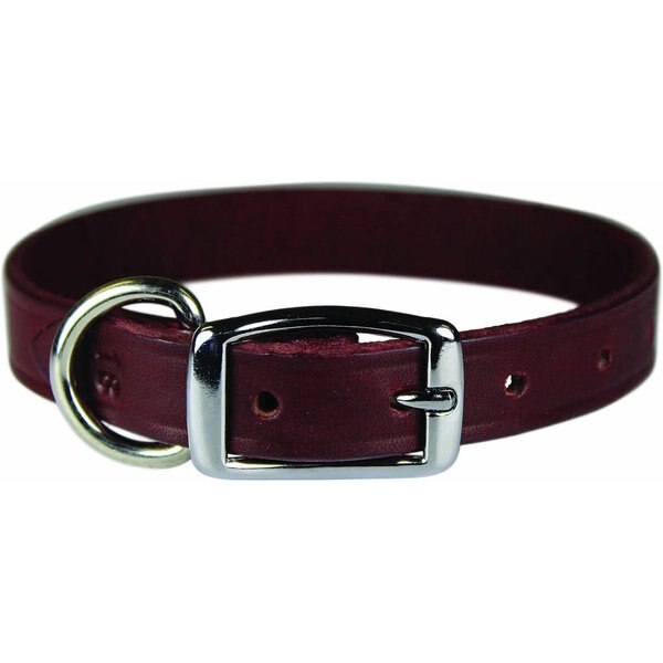 EURO-DOG Traditional Leather Dog Collar, Coral, Small: 12 to 15-in neck ...