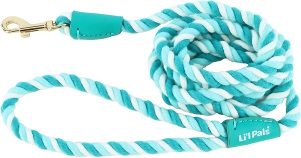 LI'L PALS Candy Striped Rope Standard Dog Leash, Petite: 6-ft long, 3/8 ...