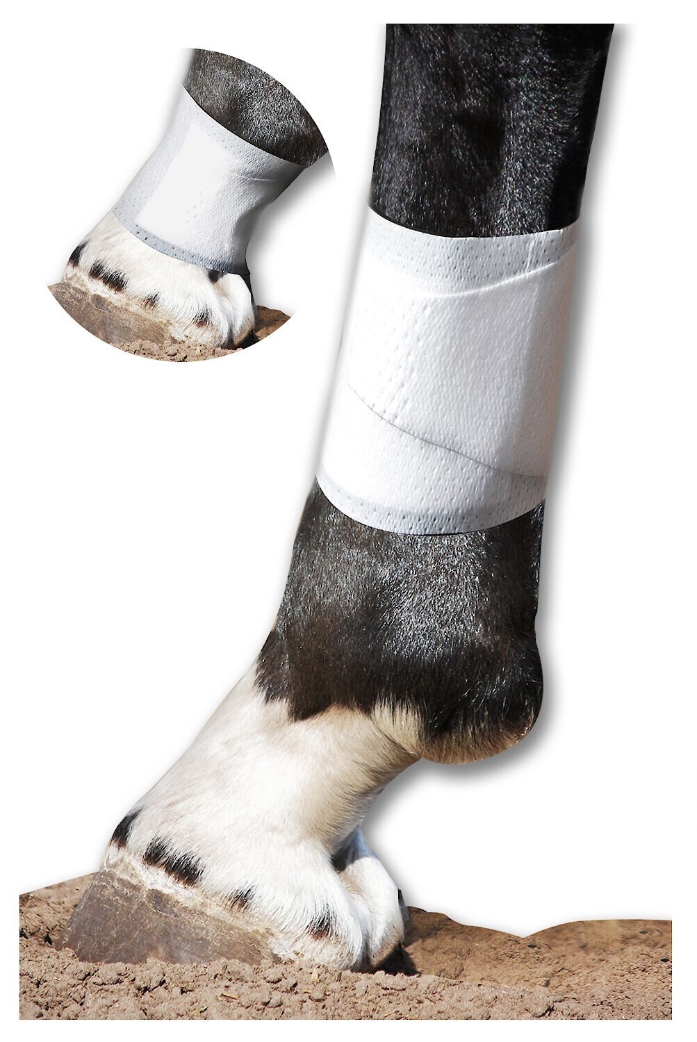 Questions and Answers about PAWFLEX Equine BandaFlex Disposable Horse ...