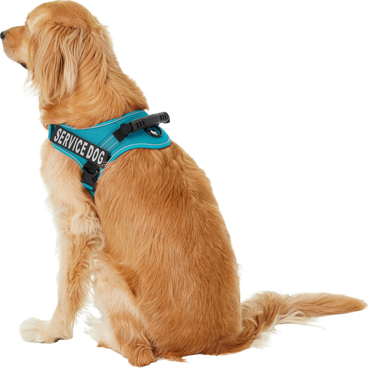 CHAI'S CHOICE Service Dog Harness, Blue, X-Large: 28 to 38-in chest ...