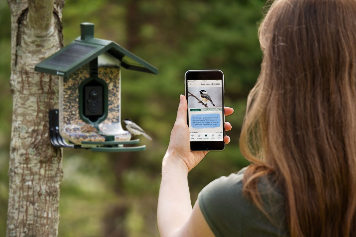 FEATHERSNAP Scout Wi-Fi Solar Powered Camera Smart Bird Feeder, Clear ...