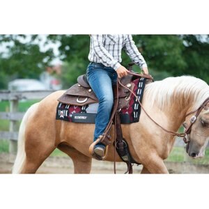 10 Best Horse Girths & Cinches 2025: According to Reviews | Chewy