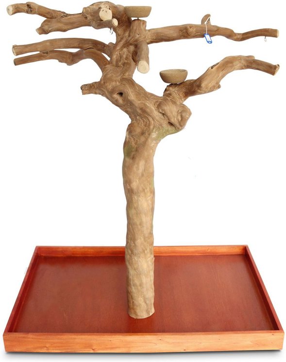 Bird Cages - Page 7 (Free Shipping) | Chewy