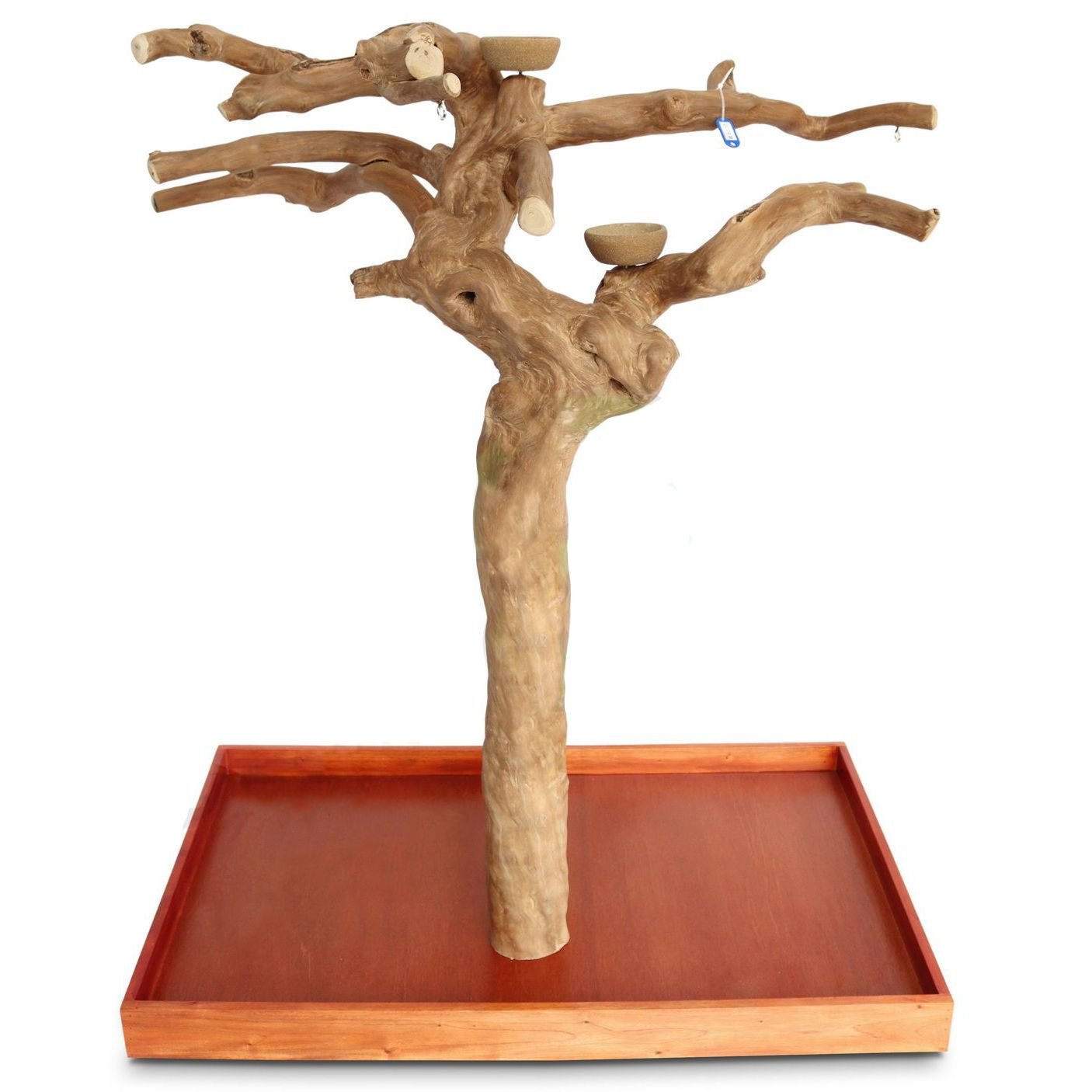 Questions and Answers about A&E CAGE COMPANY Java Wood Tree Box Bird Stand, Tan