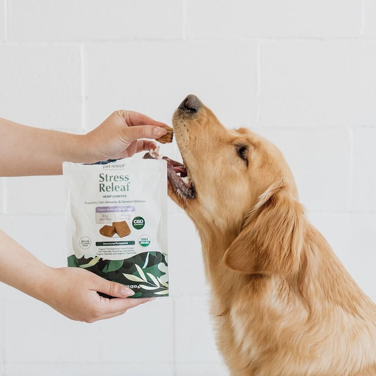 PET RELEAF Edibites Stress Releaf Organic Peanut Butter & Carob ...
